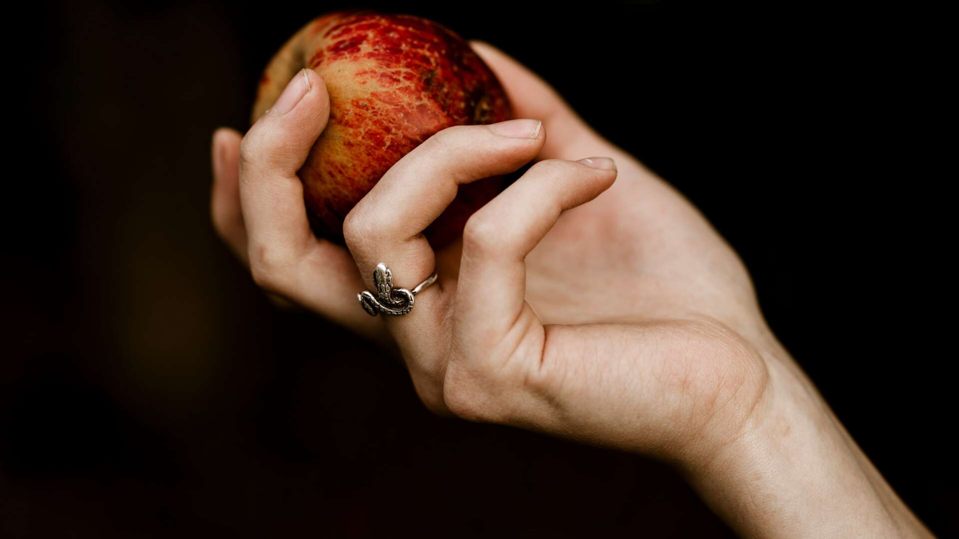 Why is there so much violence in the Bible? - Christianity